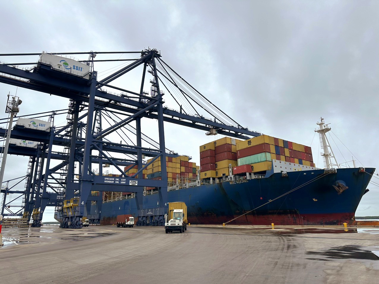 SSIT WELCOMES A NEW INTER-ASIA SERVICE “SHIKRA” FROM MSC – Vietnam ...